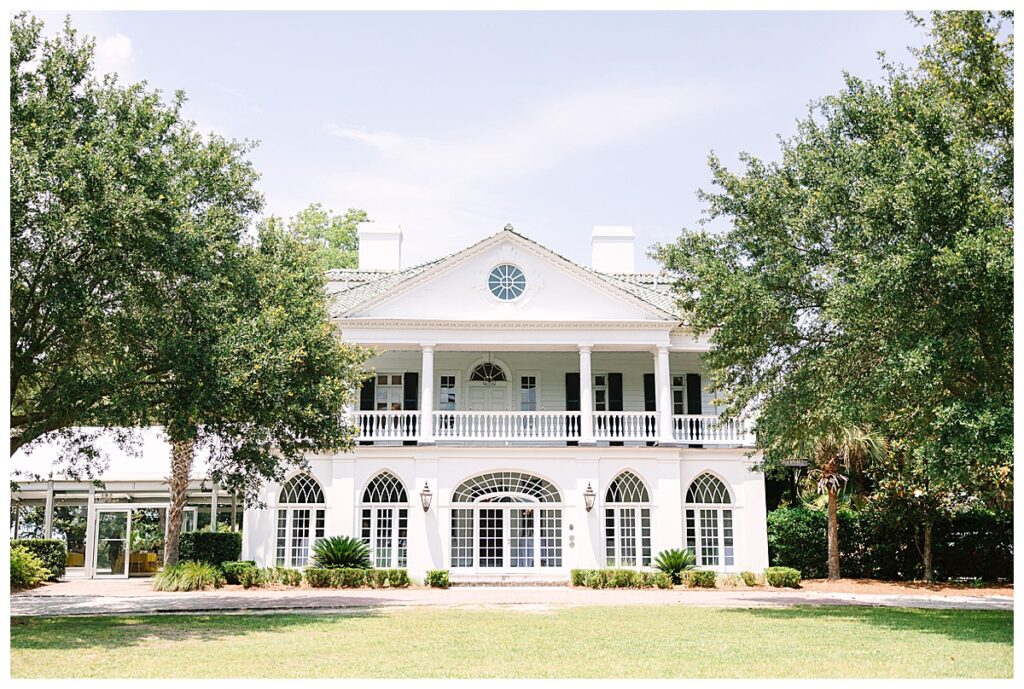 Meredith & Tanner's Lowndes Grove Wedding Painting • Charleston